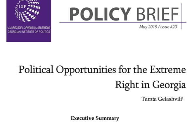 Policy-brief-20-Tamta-Gelashvili-1 | GIP